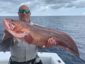 Fish Facts: Bearded Brotula - The Jump