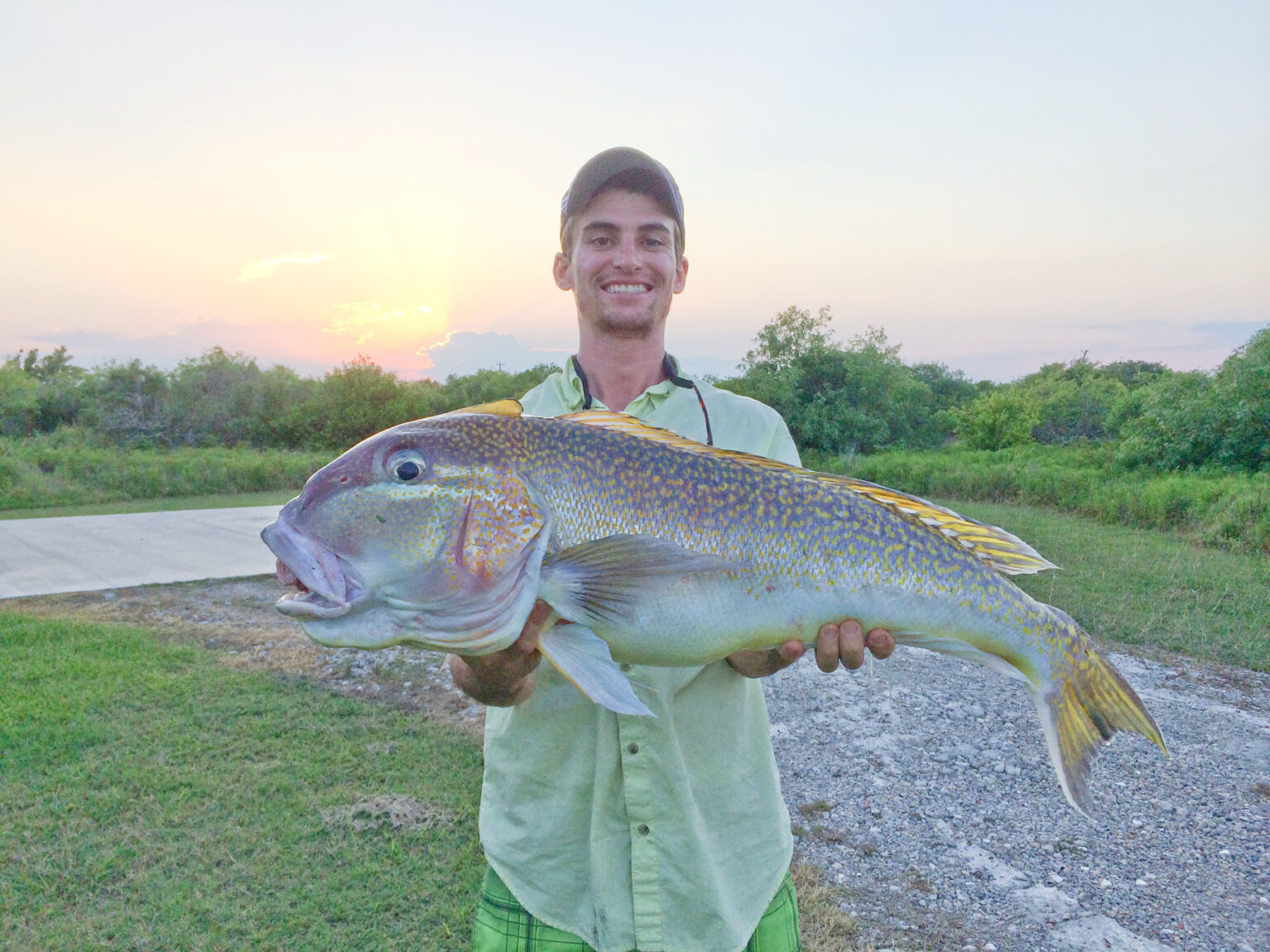 Fish Facts: Great Northern Tilefish - The Jump