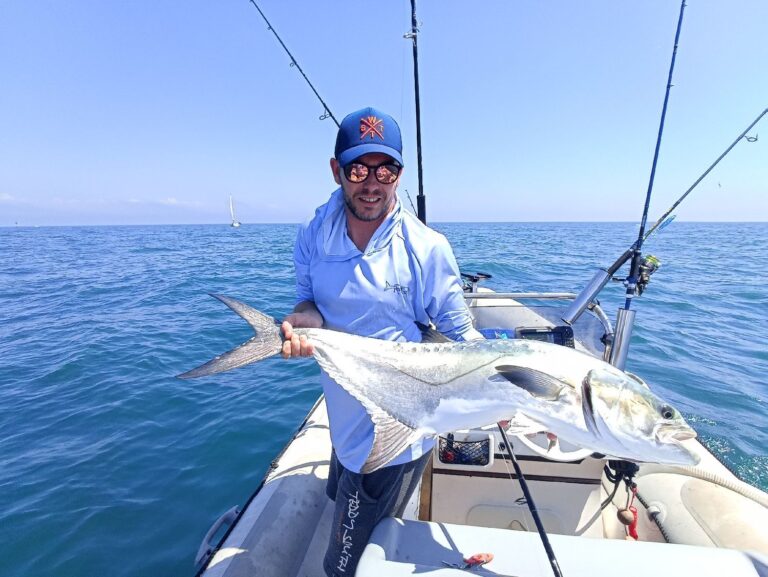 Fish Facts: Leerfish - Lichia Amia - The Jump