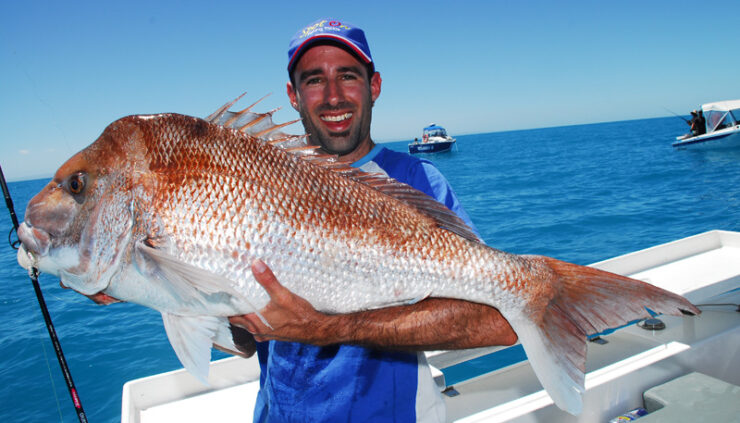 How to Catch Bigger Snapper - The Jump