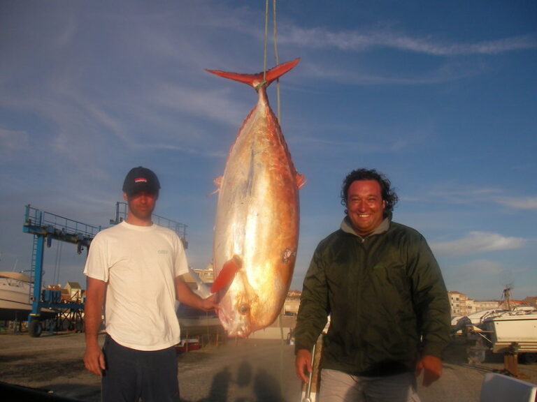 Fish Facts: Luvar - Luvarus imperialis - The Jump