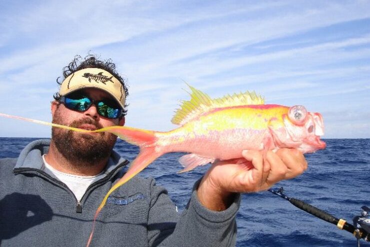 Caught: Red Barbier - Hemanthias Vivanus - The Jump