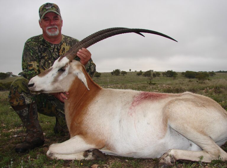 Caught: 650lb Oryx - The Jump