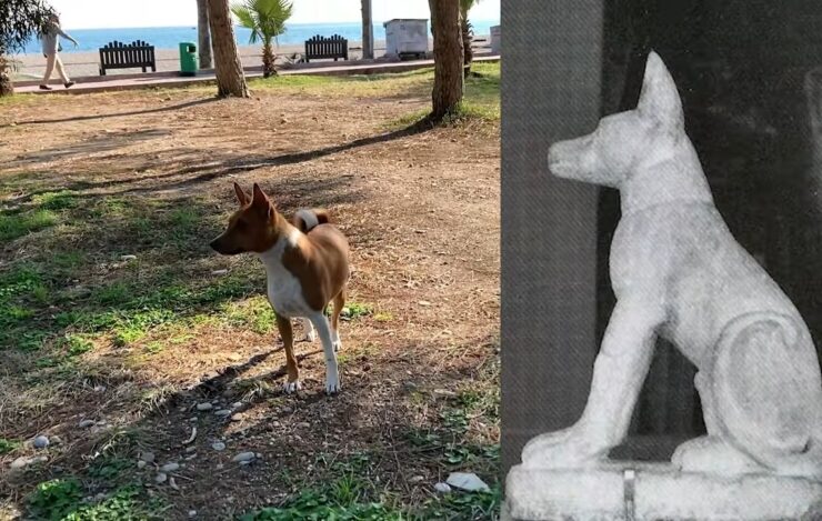 The Top 10 Oldest Hunting Dog Breeds and Their Fascinating Attributes ...