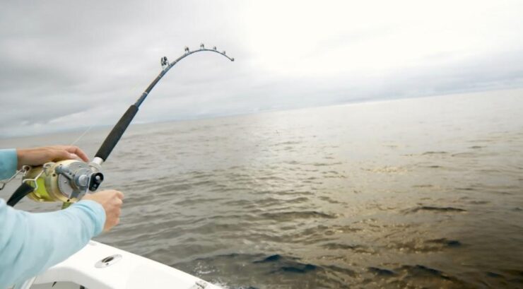 Tackling the Big Blue: The Excitement of Offshore Fishing - The Jump